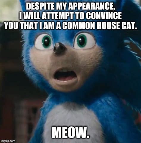 Sonicmoviememes Cat Memes And S Imgflip