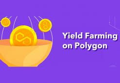 Polygon Yield Farming A Comprehensive Guide To Earning High Yields On