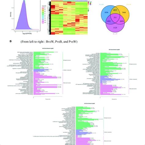 A Gene Expression Density Distribution Map B Differential Gene