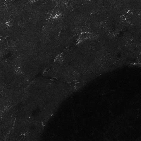 sarah syed roboflow universe