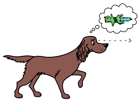 Understanding The Predatory Motor Pattern In Domestic Dogs Rebarkable