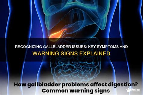 Recognizing Gallbladder Issues Key Symptoms And Warning Signs