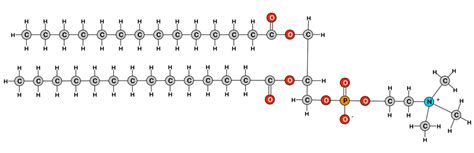 Chemical Structure Of The Dmpc Phospholipid Download Scientific Diagram