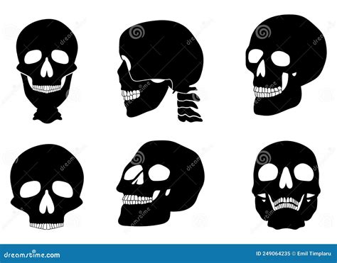 Skull Vector Design Illustration Isolated On White Background Stock Vector Illustration Of