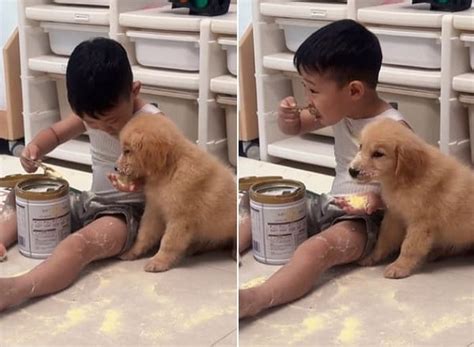 엄마 몰래 분유통 들고 앉아서 강아지랑 사이좋게 한숟가락씩 나눠 먹고 있는 어린 아들