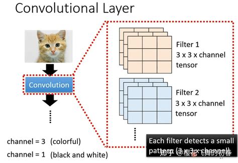 【深入浅出·李宏毅】cnn（filter receptive field convolutional layer pattern） 知乎
