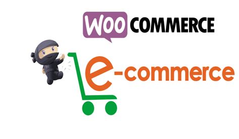 What Is The Difference Between Woocommerce And Ecommerce Faqs Wp Website Tools