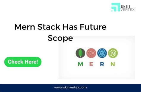 mern stack has future scope