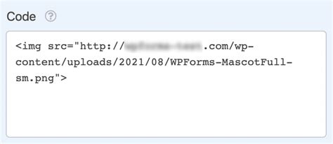 Using The HTML Field