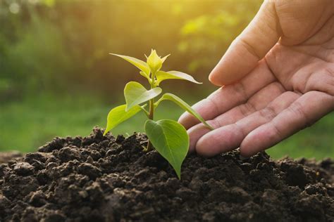 Conservation Innovation Supported By Significant Investment From Usda