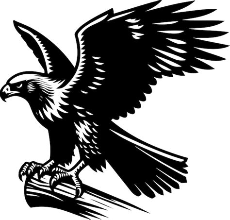 Hawk Vector Black Color Silhouette 31 Premium Ai Generated Vector