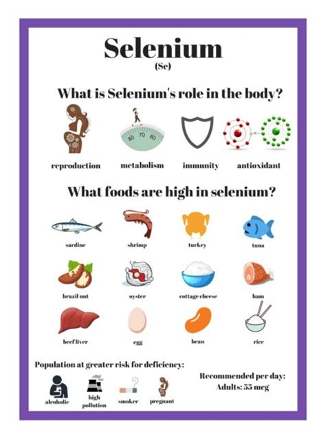 Role Of Selenium In The Body Archives Az Dietitians
