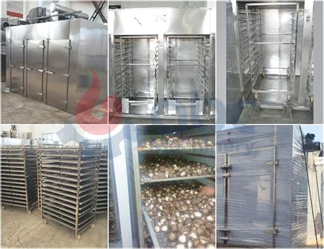 Mushroom Drying Rack At Zelma Radford Blog