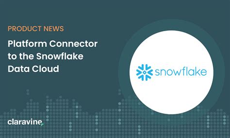 Unlocking The Value Of Standardized Data In The Snowflake Data Cloud