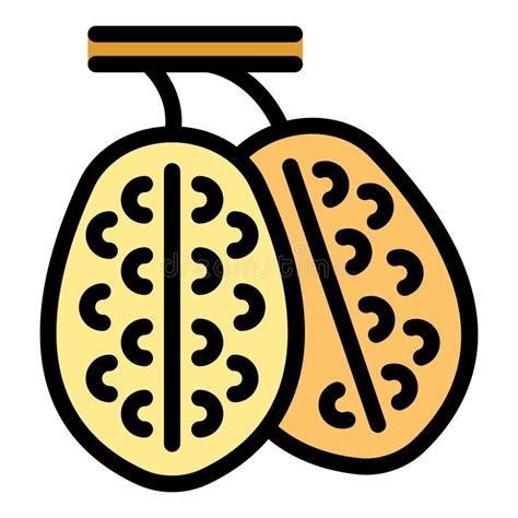 Cocoa Fruit Icon Vector Flat Stock Vector Illustration Of Outline Fruit 289302563