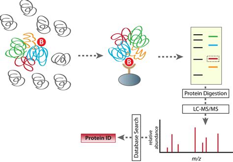 [干货分享]co Ip 、co Ip Ms经验谈 知乎