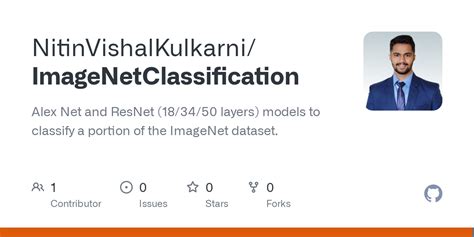 Imagenetclassificationalexnetfinalipynb At Master