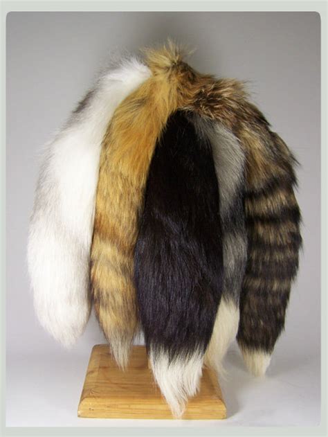 Queue De Renard Naturelle Direct Tannerie Import Export