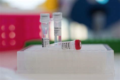 Dbscript Reverse Transcriptase Rt With Super Fast Protocol