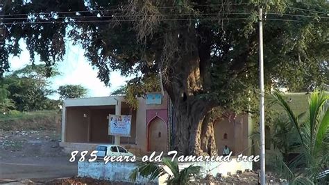 Mallayya Temple Devara Hipparagi Part 2 Youtube