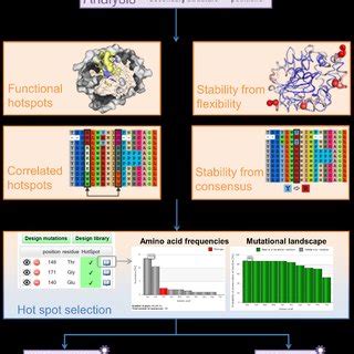 Computational Design Of Enzymes For Biotechnological Applications Request PDF