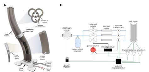 Figure 1 From A Review On Model Based And Model Free Approaches To