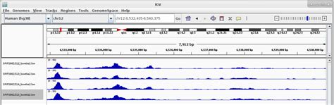 ATACSeq Data Analysis CRC User Manual