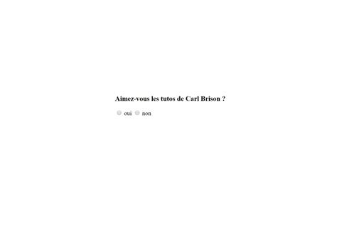 TUTO Objectif Frontend Comment Modifier Facilement Des Boutons Radios Sur Tuto Com