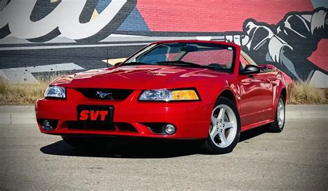 Unleashing Power The 1999 Ford Mustang Svt Cobra Convertible En