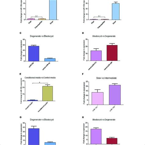 Mirnas Differential Expression Between Embryos With Different