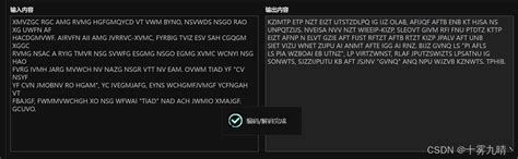 攻防世界 ＞safer Than Rot13 Csdn博客