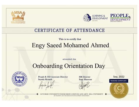 Engy Saeed Abozaid On Linkedin University Training Msa