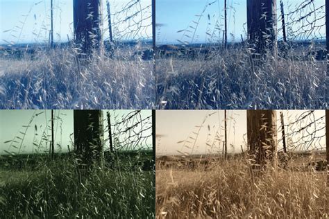 Colour Correction Vs Colour Grading Alexharkness Com