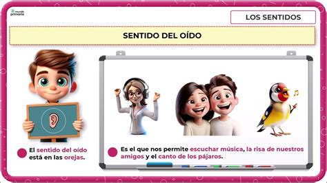 Los 5 Sentidos Oído Gusto Vista Tacto Y Olfato Educación