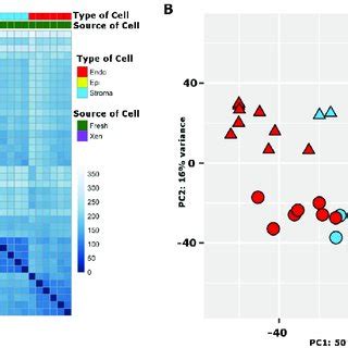 Unsupervised Clustering Un Supervised Clustering Of Transcriptomes Of Download Scientific