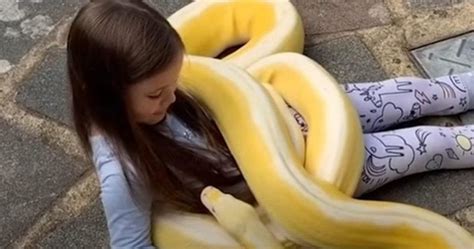 Young Girl Is Best Friends With 16 Foot Python Metaspoon Young Girl Is Best Friends With 16 Foot Python Metaspoon