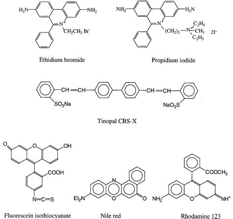 Fluorescein Dye Structure At Tyson Farncomb Blog