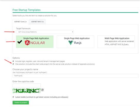 Net Core Angular Template APIs Not Working Issue Aspnetboilerplate