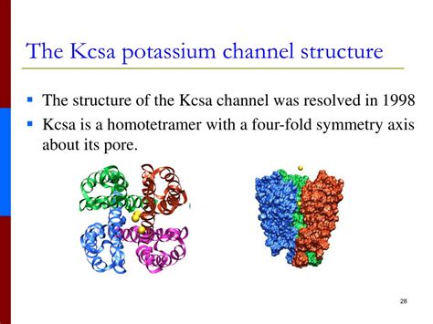 Ppt Lesson 9 Predicting Function From Sequence Powerpoint