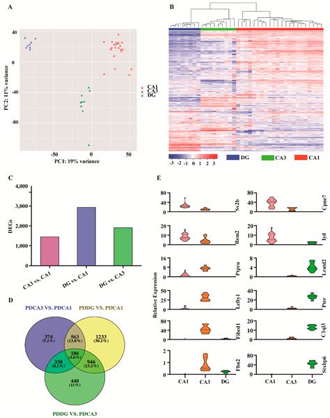 Spatial Transcriptome Profiling Of Mouse Hippocampal Single Cell