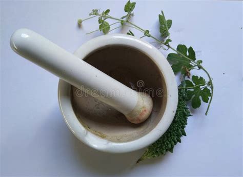 A Plant In An Erlenmeyer Flask For An Experiment On The Table On A Blurred Laboratory Background