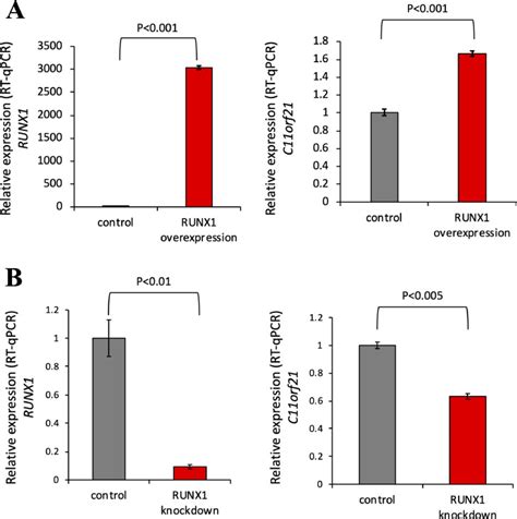 C11orf21 A Novel Runx1 Target Gene Is Down Regulated By Runx1 Eto Pmc