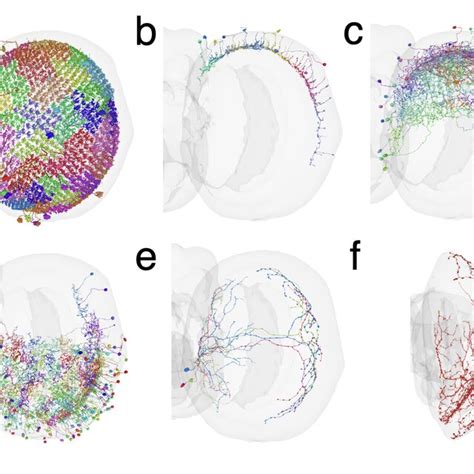 Different Kinds Of Spatial Coverage A Example Dm4 Of Complete