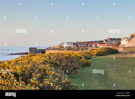 The Coastal Village Of Craster Northumberland England Uk Muddy