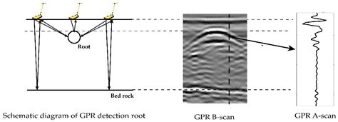 Root Location And Root Diameter Estimation Of Trees Based On Deep Learning And Ground