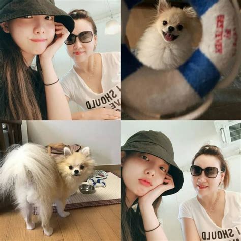 나연 어머니 인스타 원본 걸그룹 갤러리 에펨코리아