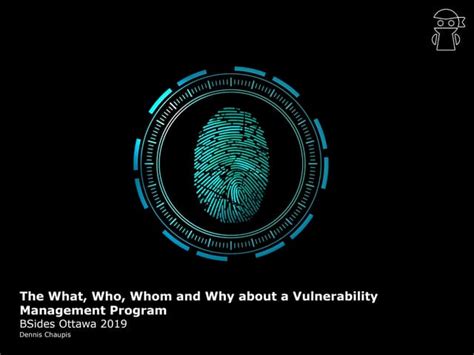 Vulnerability Management Program Pdf