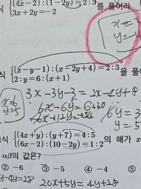 중2 연립방정식 지식in