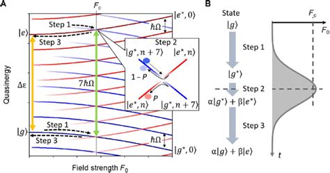 Temporal Evolution Of Floquet State In A Two Level System A