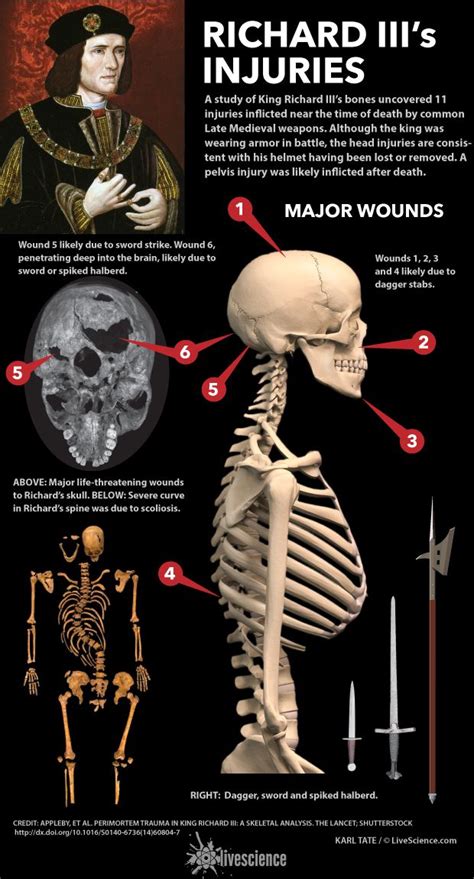 Richard Iii Dna Evidence